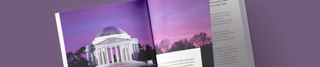 The Labovitch Consultancy | Documentations & Publications